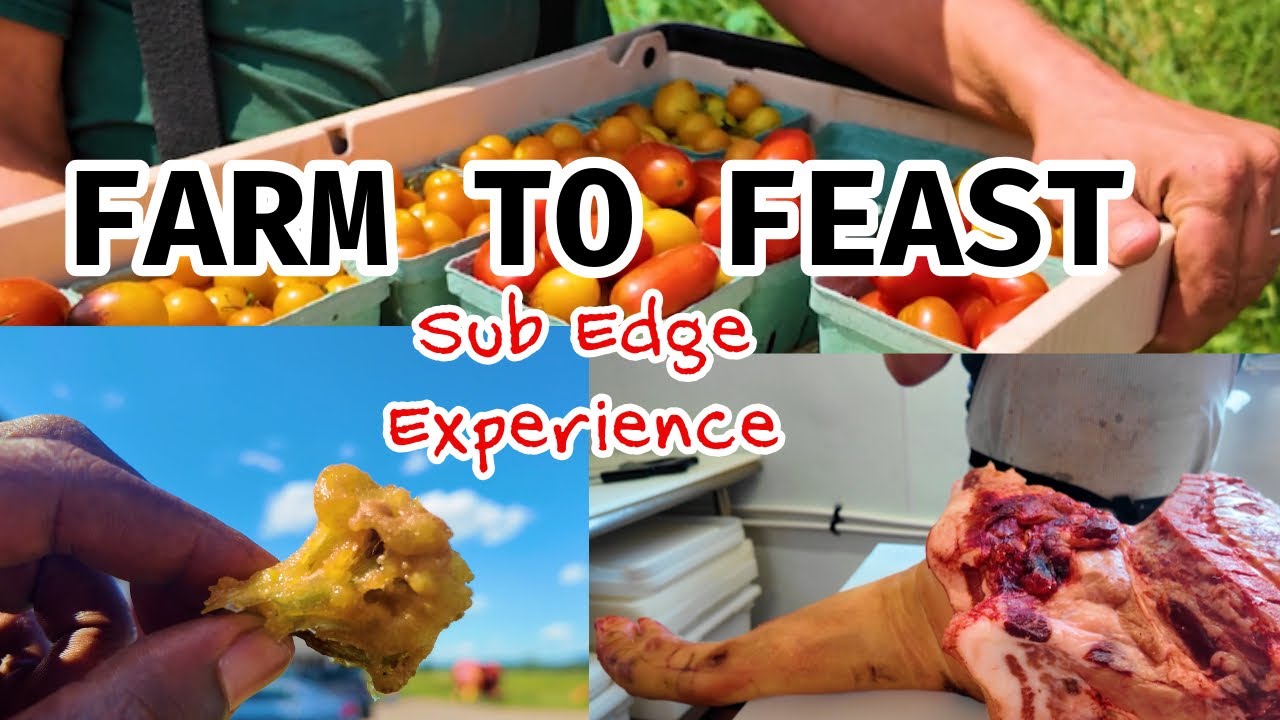 From Farm to Feast: Sub Edge Experience #fyp #ctfoodie #exclusive - YouTube
