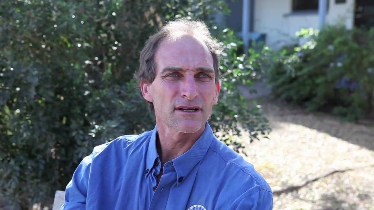 Bowen vet Tim Annand - Hendra - YouTube