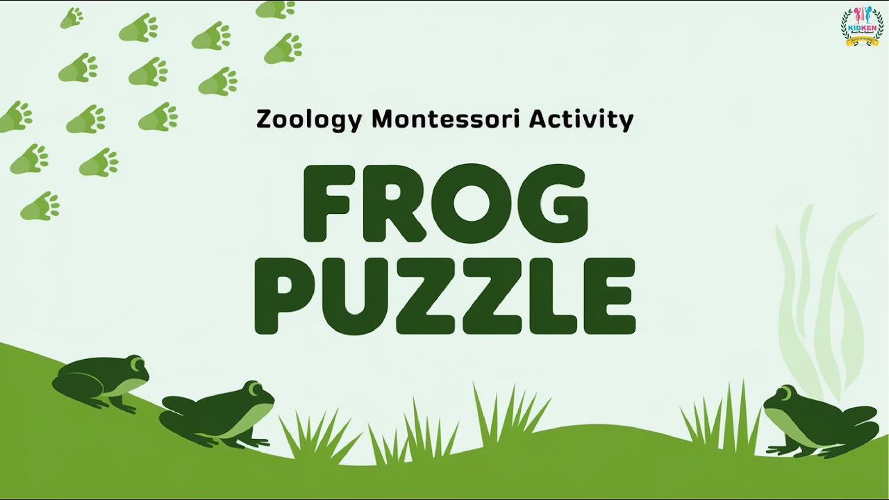Frog Puzzle | Zoology Montessori Activity | KIDKEN #montessorieducation ...