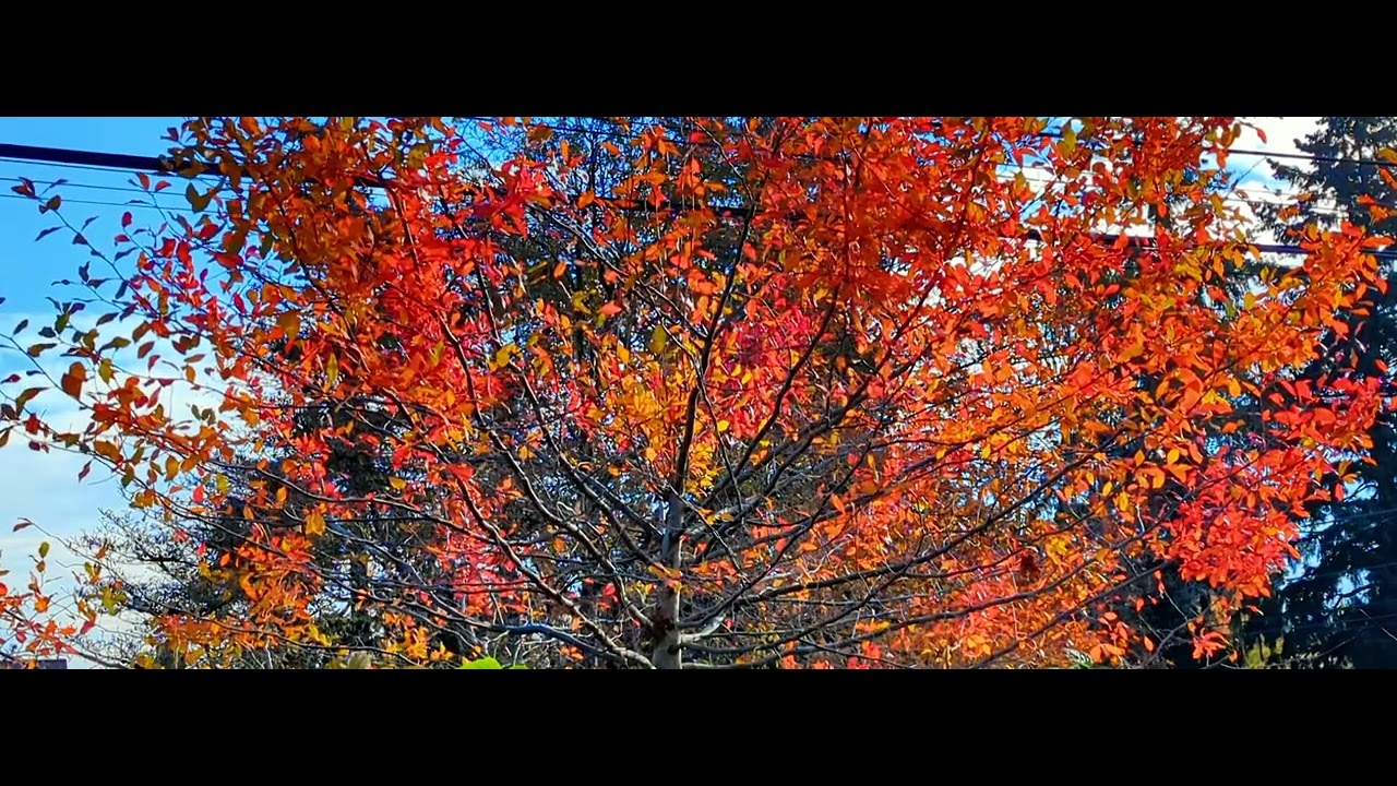 Red Falls Blue Over All - YouTube