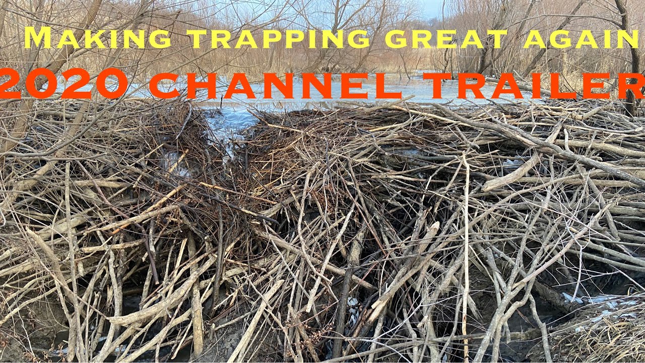 Trapping season 2020 channel trailer let’s do this!!!!! - YouTube