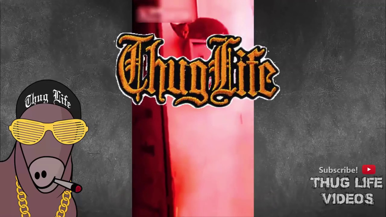 Best Thug Life Compilation of 2015 Part 74 - YouTube