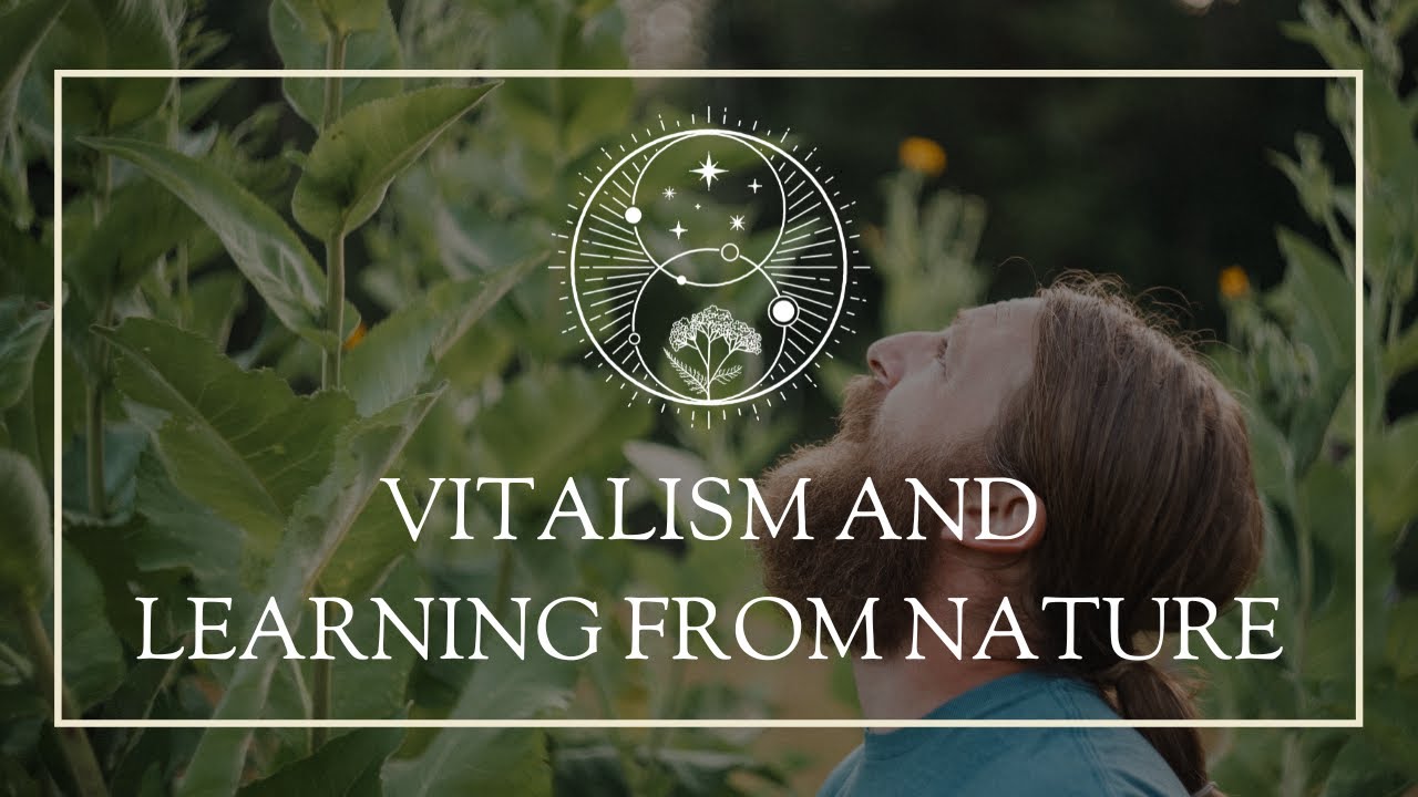 Vitalism and Learning From Nature - YouTube