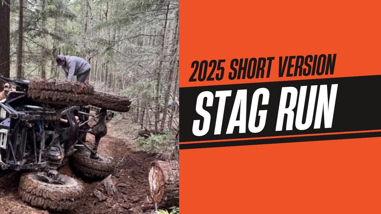 Stag Run Short 2025 - YouTube