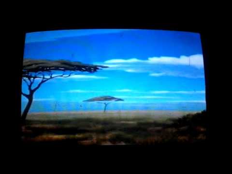 The Lion King 1½: That's All I Need