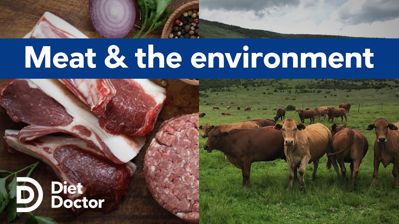 Eat meat AND care about the environment - YouTube