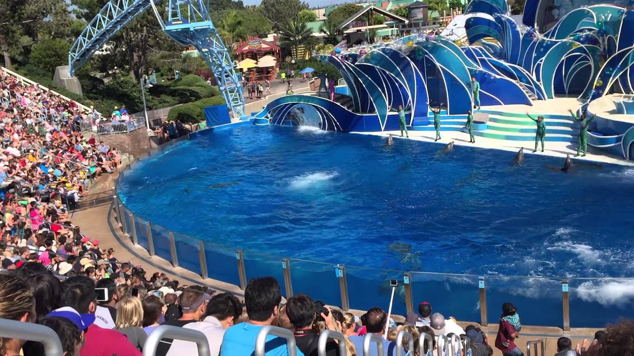 SeaWorld California 2 - YouTube