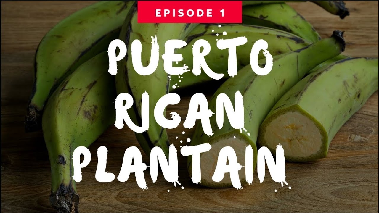 Puerto Rican Plantain Banana Arrived - YouTube