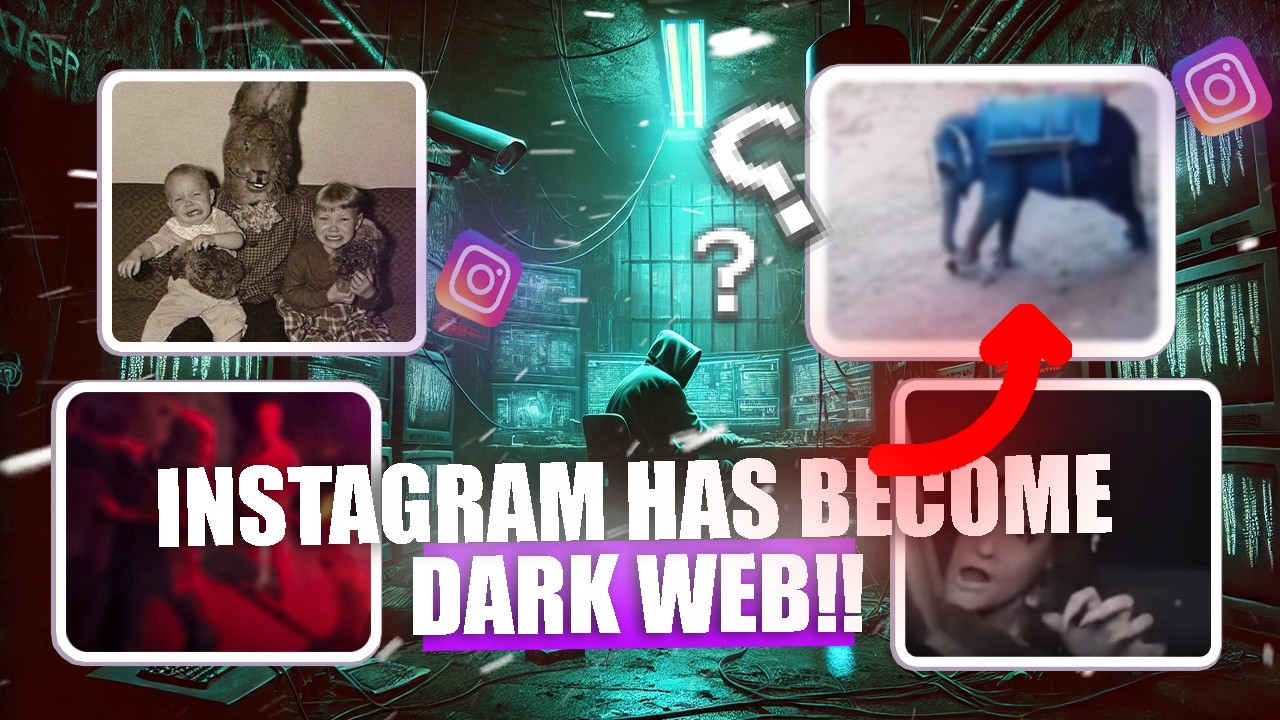 Instagram turned into the dark web! leaked videos.. The elephant video ...