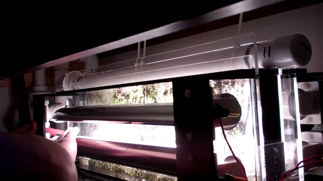 125 Reef Algae Scrubber Screen Cleaning Part 5 - YouTube