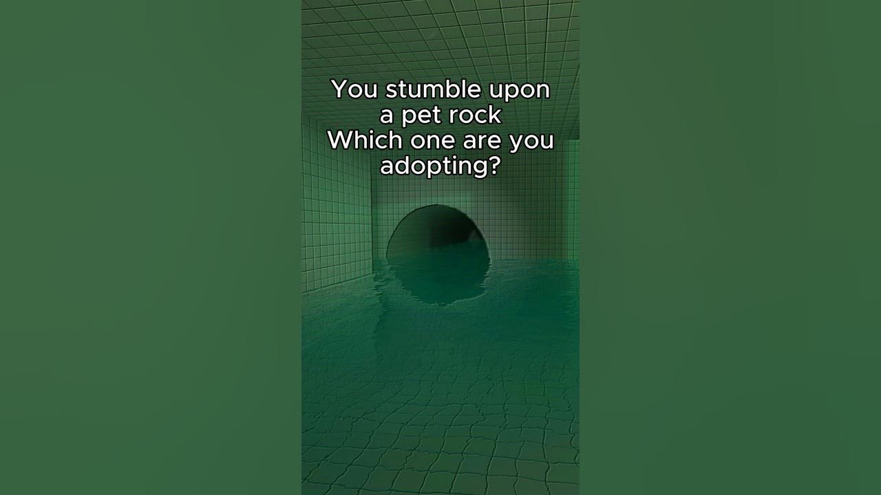 PET ROCKS FOR ADOPTION! - YouTube