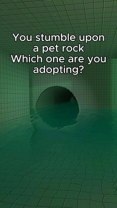 PET ROCKS FOR ADOPTION! - YouTube