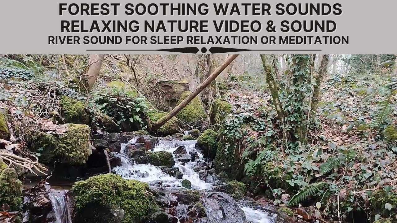 Forest Water Sounds. River Sound For Sleep Relaxation Or Meditation ...