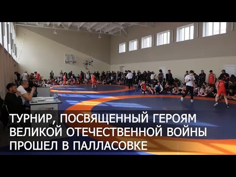 Турнир по вольной борьбе в Палласовке / Апрель 2026