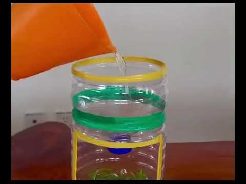 MUHABBET KUŞU EVDE BANYO KÜVET YAPIMI