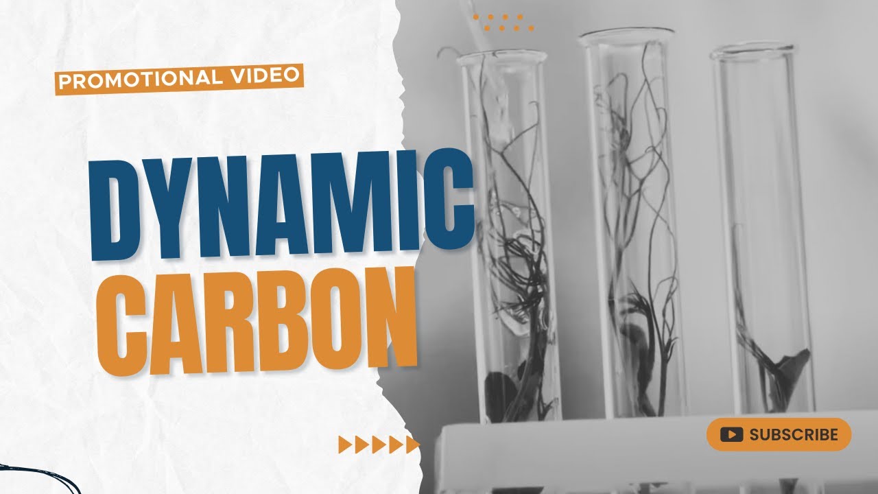 Dynamic Carbon Credits | Promo Video - YouTube