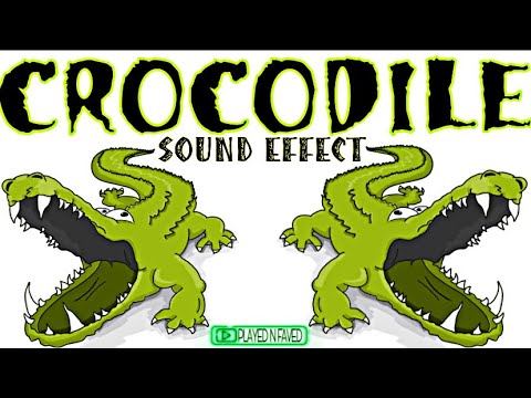 Crocodile Sound Effect / Crocodile Roar Sounds / Sound Of Wild Angry ...