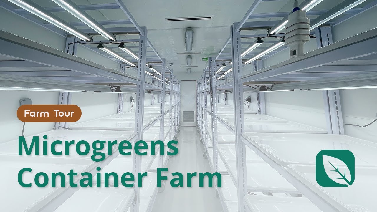 Microgreens Container Farm Tour - YouTube