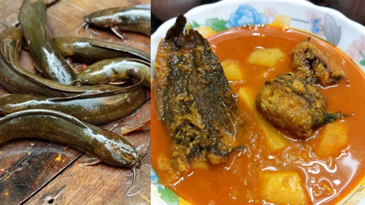 মাগুর মাছের পাতলা ঝোল || Bengali fish curry || Magur macher jhal ...