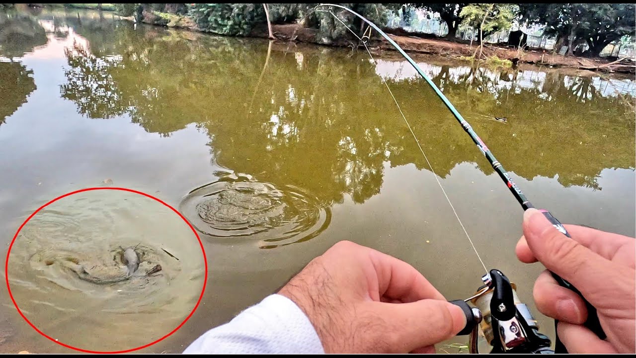 דיג בז'רז'ור Extra Ultralight סשן נוסף בפארק הלאומי 🎣 ופייט מהנה של 5 ...