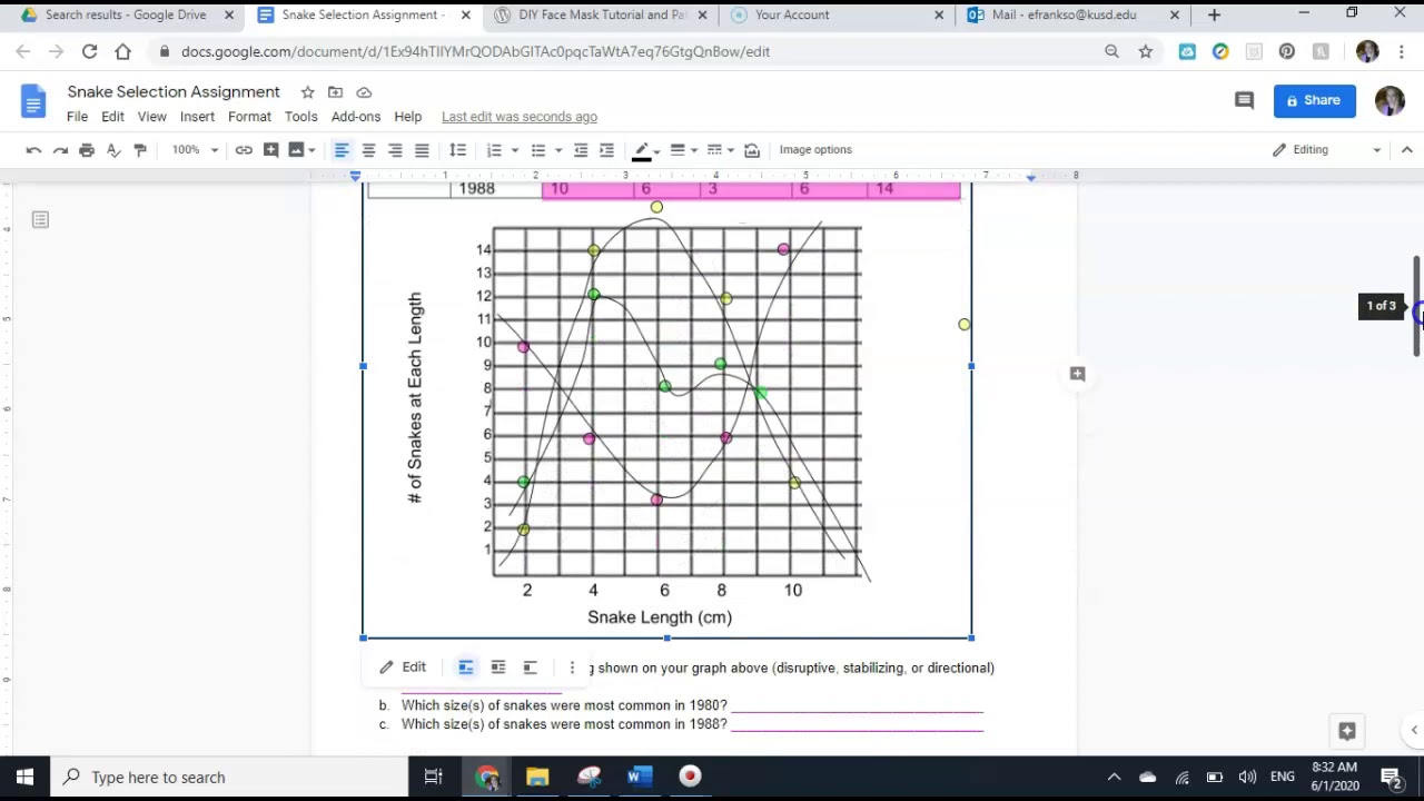 Snake Selection WS Instructions - YouTube
