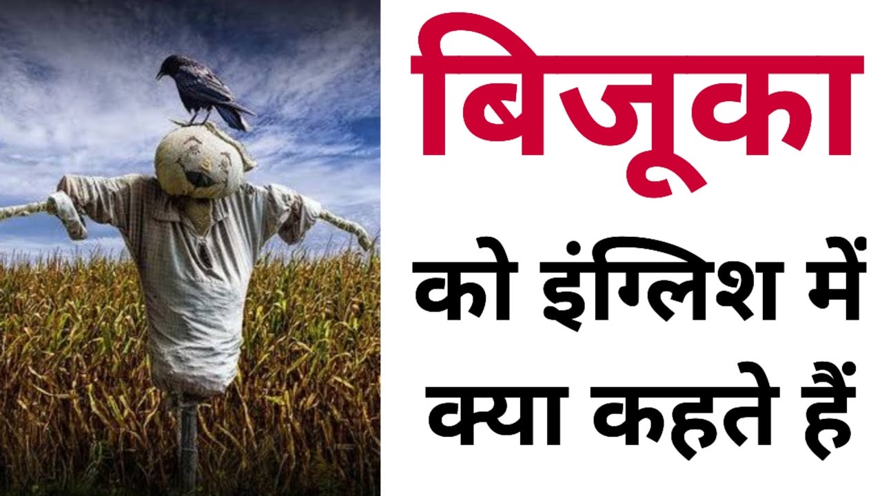 बिजूका को इंग्लिश में क्या कहते हैं | Bijuka ko english mein kya kahate ...