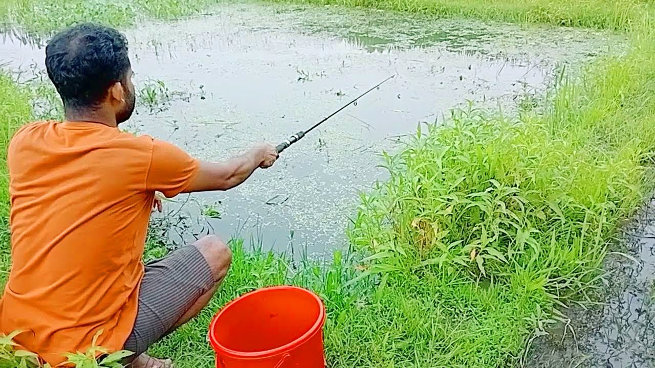 Really Best hook🎣🐠 Fishing Video _ Catching fish By Hook a fisherman ...