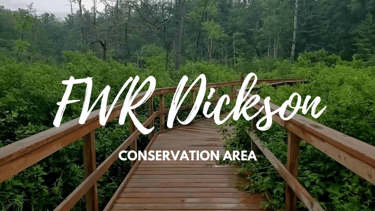 Hiking Ontario: FWR Dickson Conservation Area - YouTube
