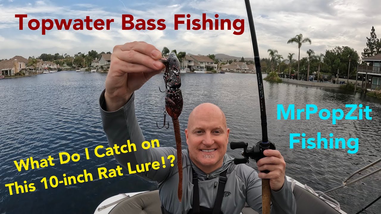 10 inch Rat Lure topwater Largemouth Bass action!! Spray painted black ...