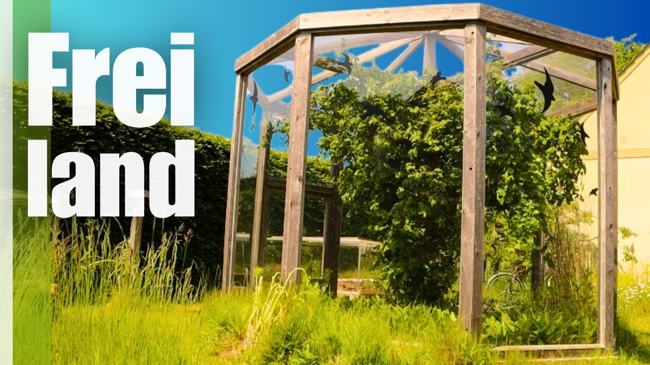 Garden full of amazing outdoor reptile enclosures - YouTube