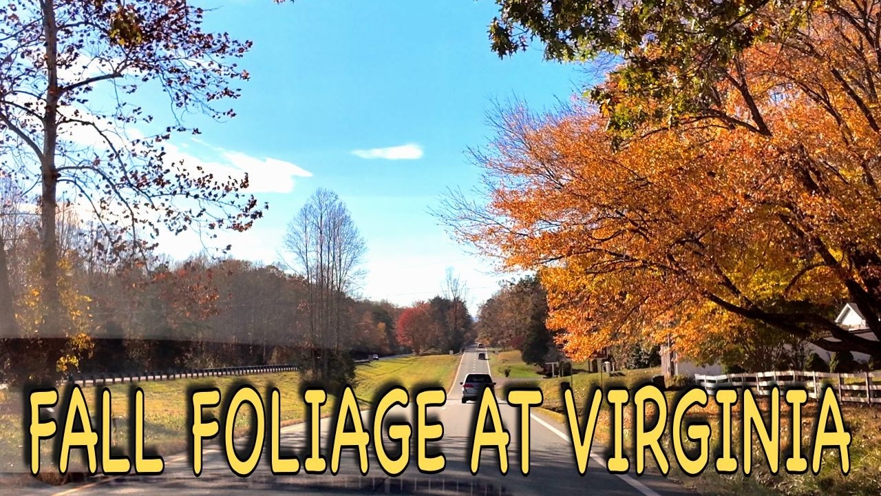 🇺🇸 4K Autumn Foliage VA/ Fall Foliage in Virginia - Experience Autumn ...