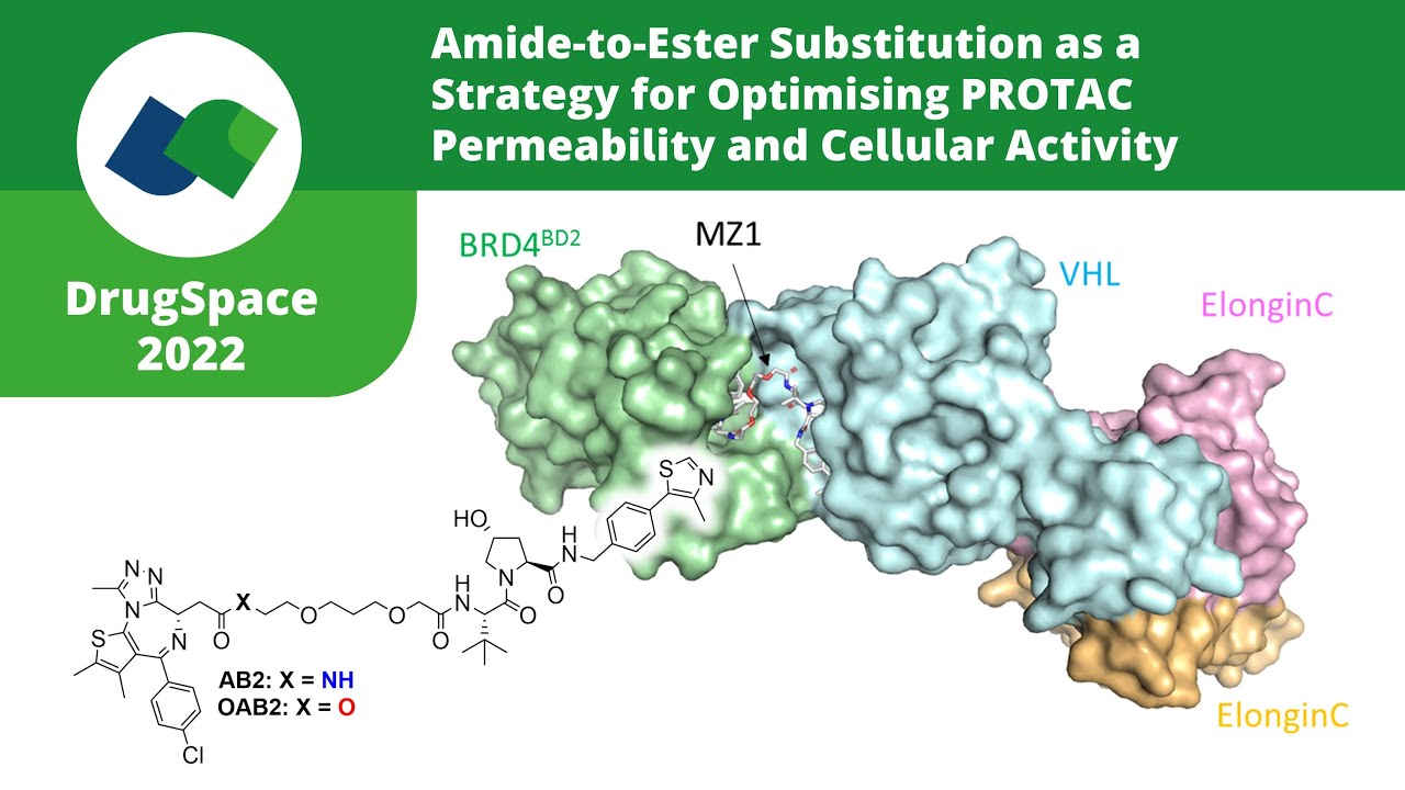 Amide-to-Ester Substitution as a Strategy for Optimising PROTAC ...