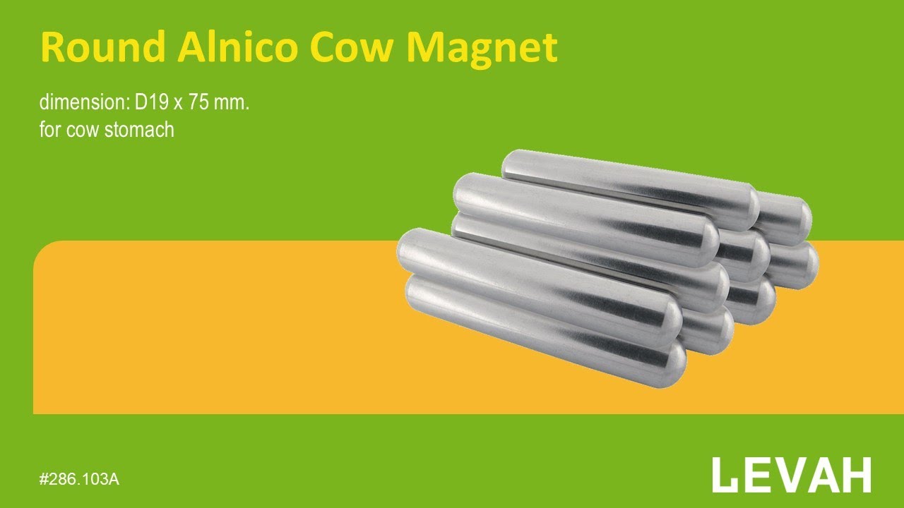 LEVAH -cow magnet, cow magnet bolus, round alnico magnet for cow ...