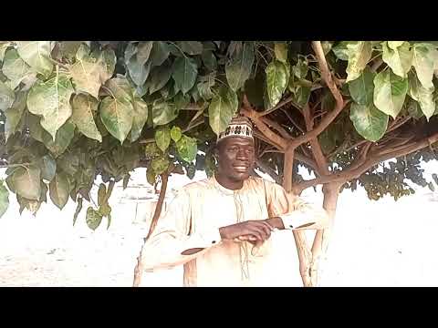 AMFANIN BISHIYAR GAMJI AJIKIN DAN ADAM - YouTube