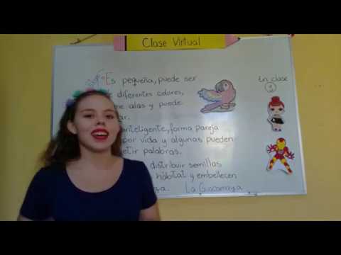 Descripción de animales y objetos para niños - YouTube