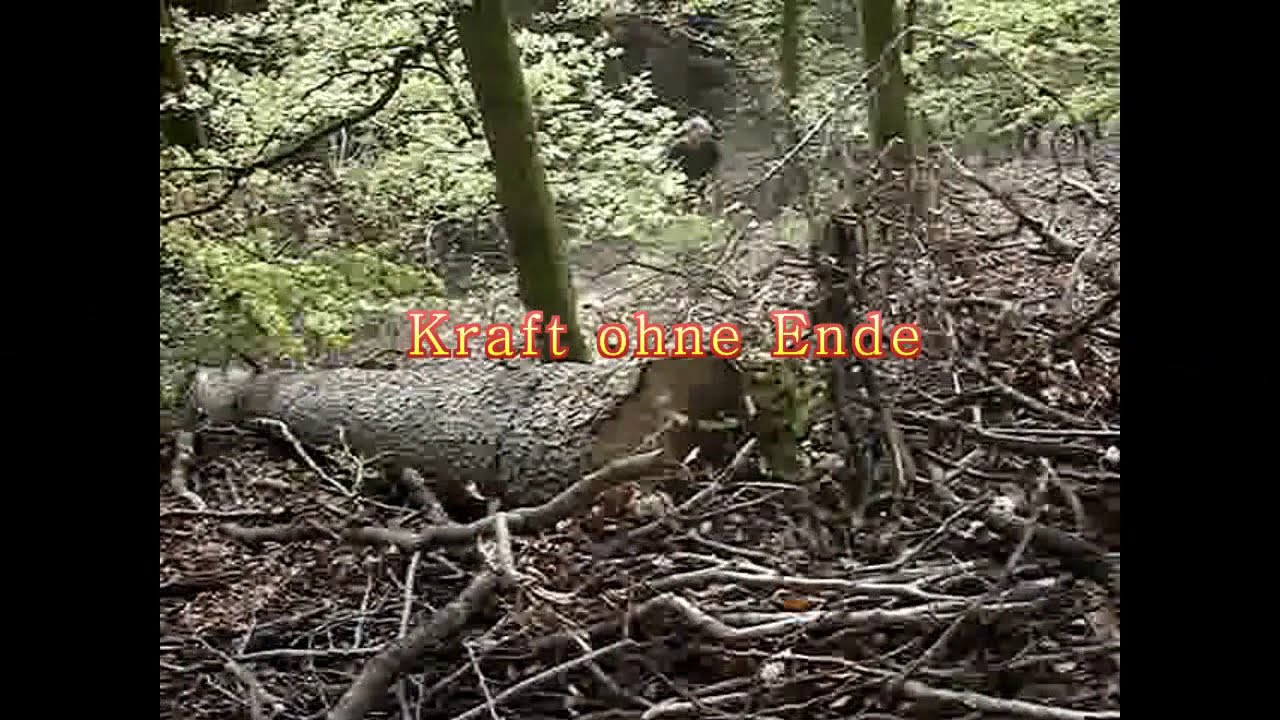 Forstseilwinde SALF - YouTube