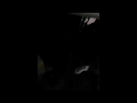 Jungkook Türk fanı Yasemin'e imza veriyor.(Türkçe)