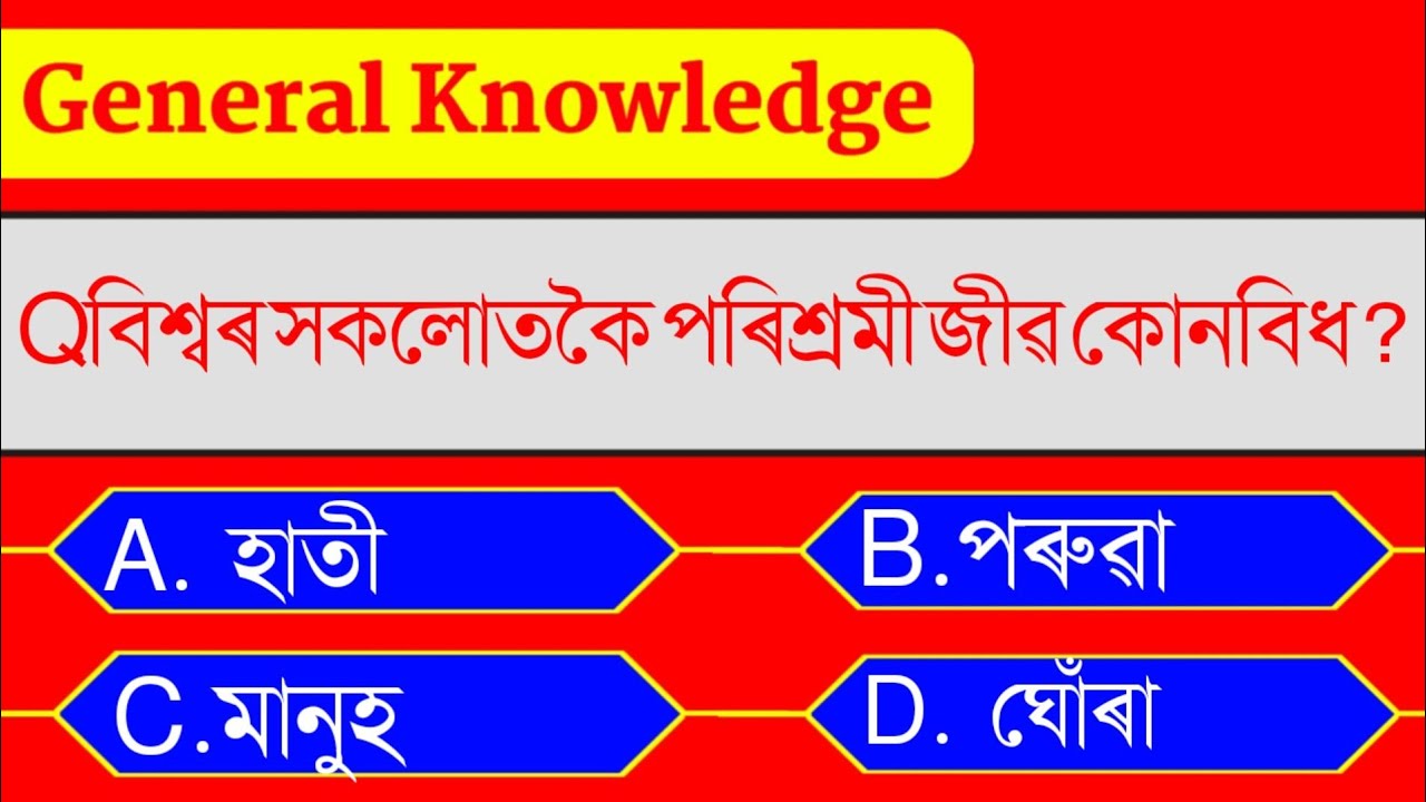 Assamese gk video || Top 20 gk questions and answers || Assamese general Knowledge video. - YouTube