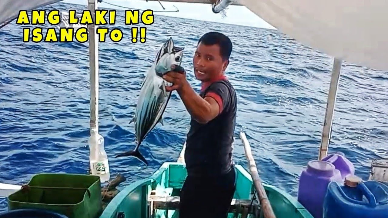 Catching Skipjack Tuna | Ang laki ng Isang to | Traditional Handline ...