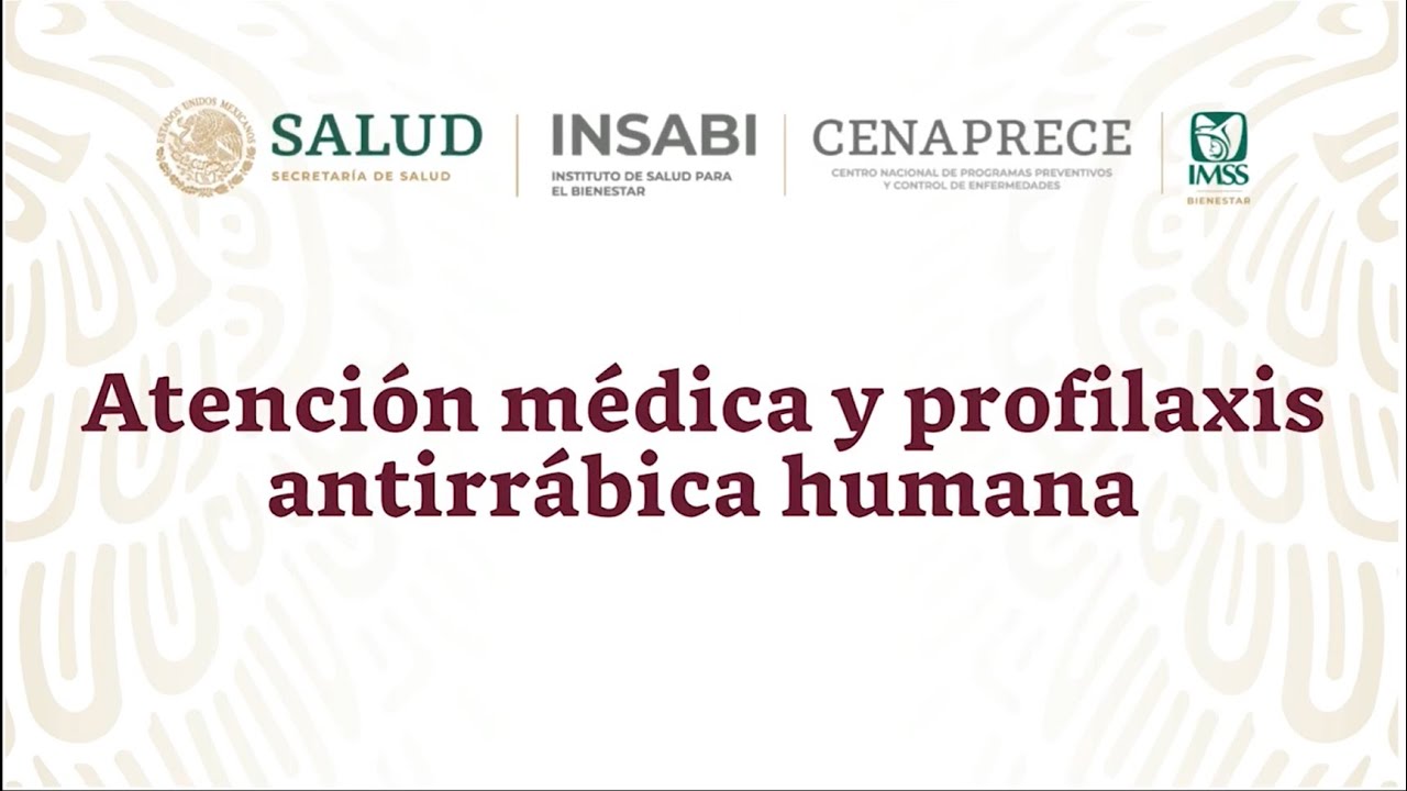 3. Atención médica y profilaxis antirrábica humana - YouTube