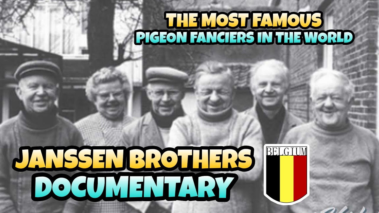 JANSSEN BROTHERS DOCUMENTARY | THE MOST FAMOUS PIGEON FANCIERS IN THE ...