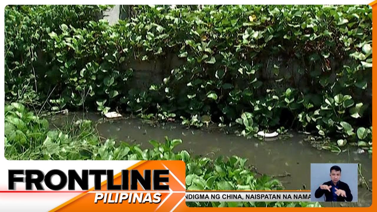 Mabaho at maruming tubig mula sa kanal sa Zambales, dumadaloy papuntang ...