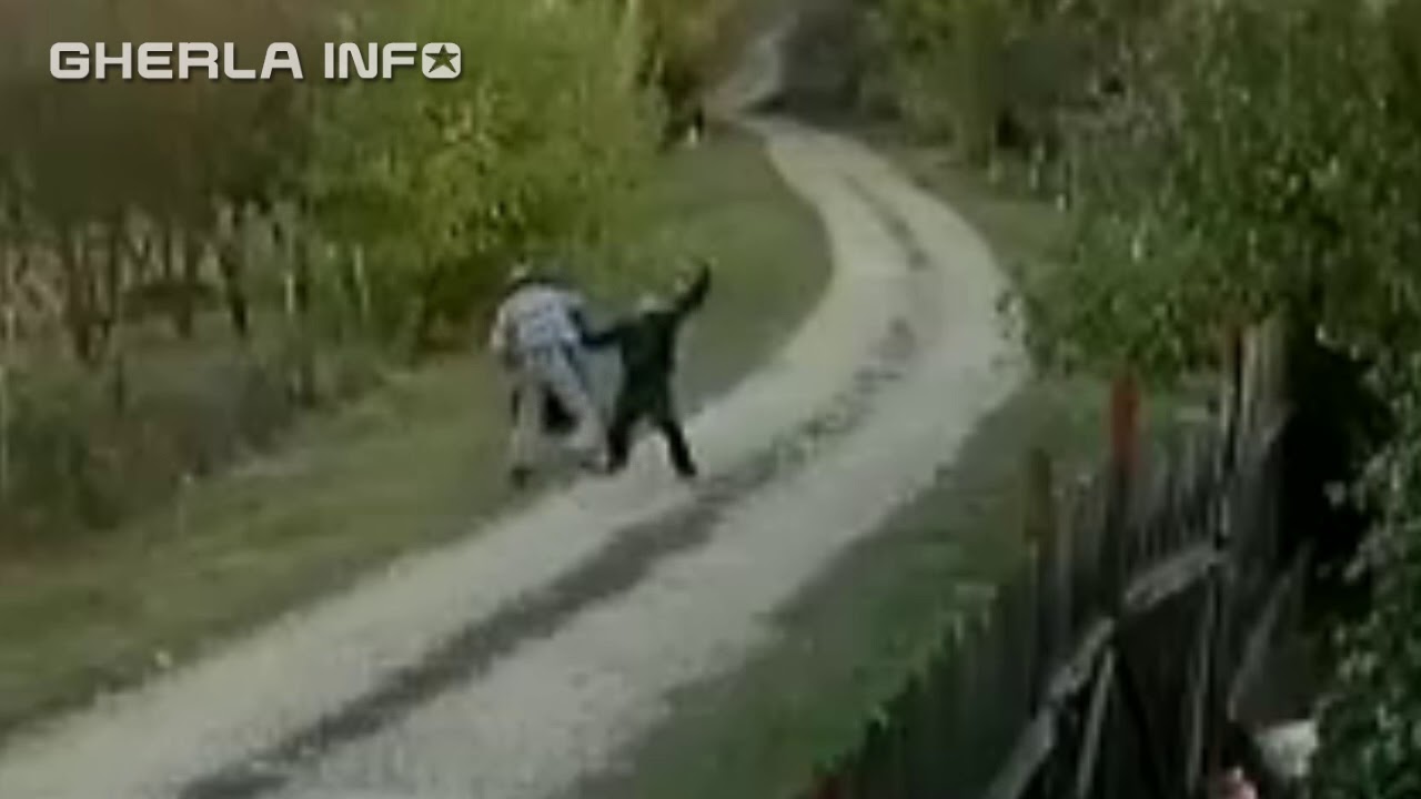 Fost politist bate un taran - Catina (Cluj) 16 10 2018 - YouTube