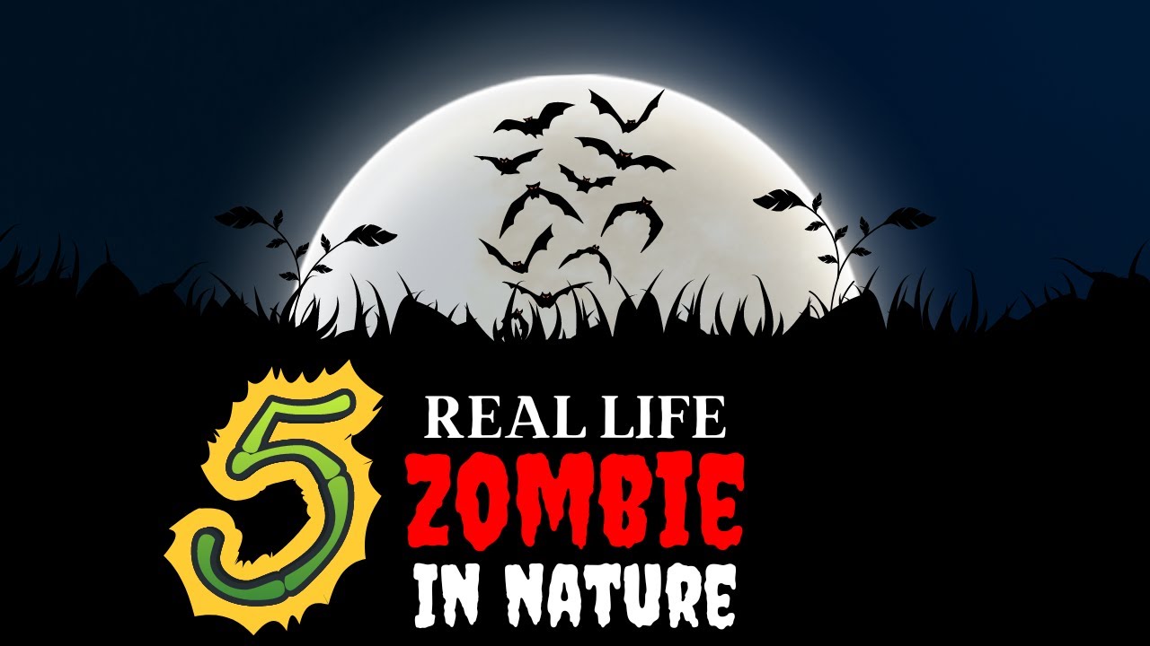 Mind-blowing: 5 Real-life Zombie Creatures In Nature! 🧟‍♂️🌿 - YouTube