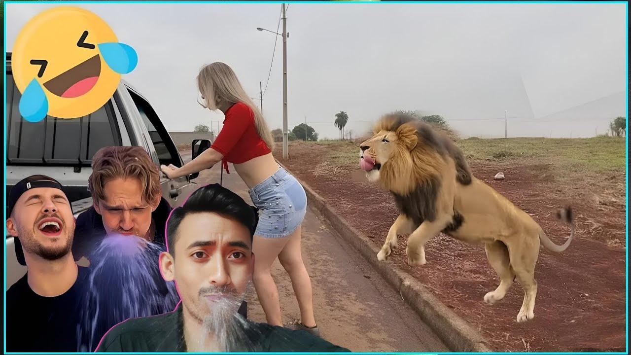 Funny & Hilarious People's Life - Try Not To Laugh Funny Videos । Memes ...