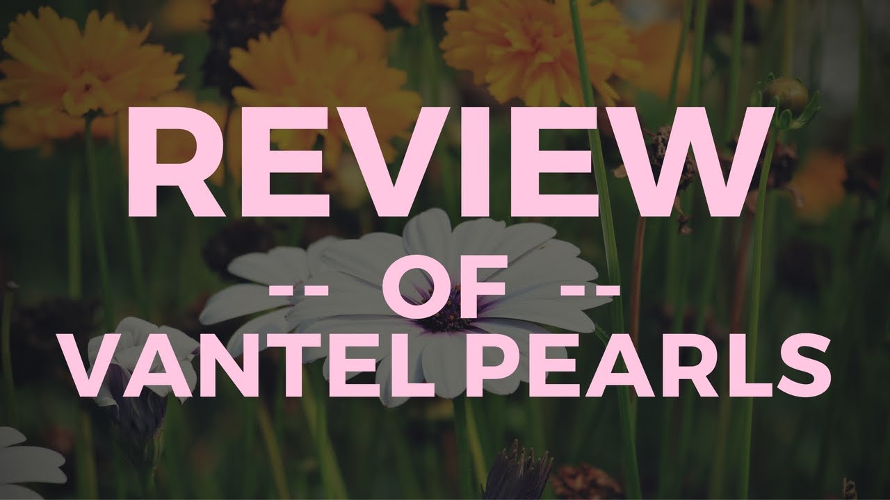 Vantel Pearls Review - Legit MLM Or Big Scam? - YouTube