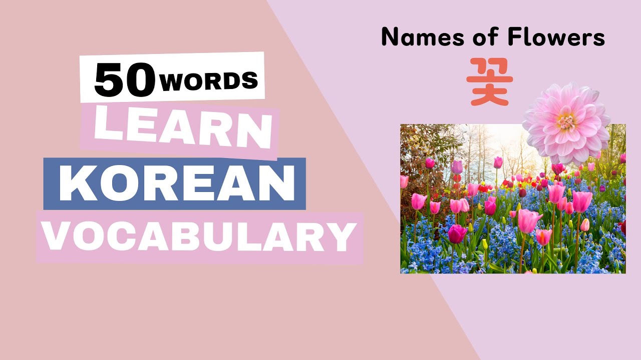 Korean Vocabulary | 꽃이름 단어 50개 익히기 | 50 Flower Names in Korean! - YouTube