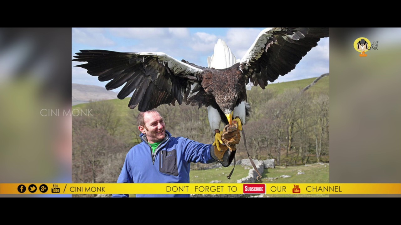 "గండభేరుండం" నిజంగానే ఉండేదా ? | GANDABERUNDA | ANCIENT HINDU MYTHOLOGY ...