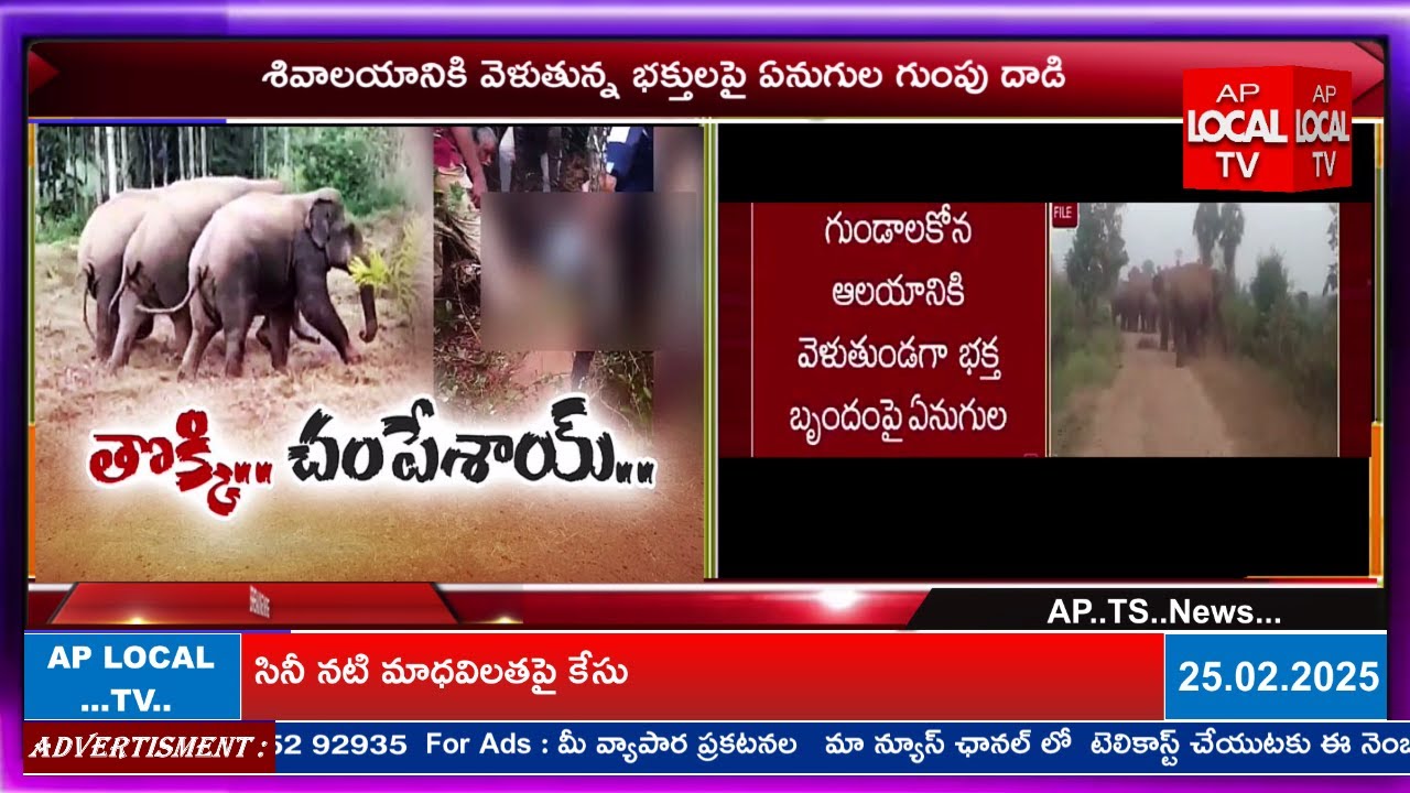 LIVE : AP LOCAL TV || News Bulletin || 25-02-2025 - YouTube