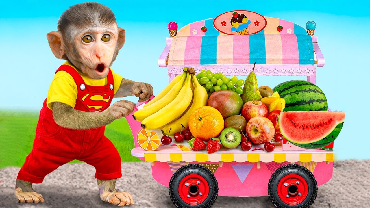 Monkey Baby Mimi used her last coin to buy all the fruit in the vending ...